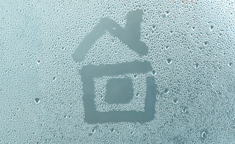 Managing Moisture and Condensation in Modern Homes – Cosy Homes